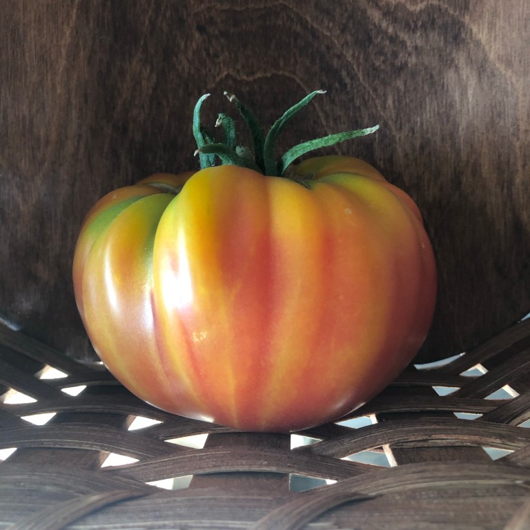 Heirloom Pineapple Tomato – Savillum